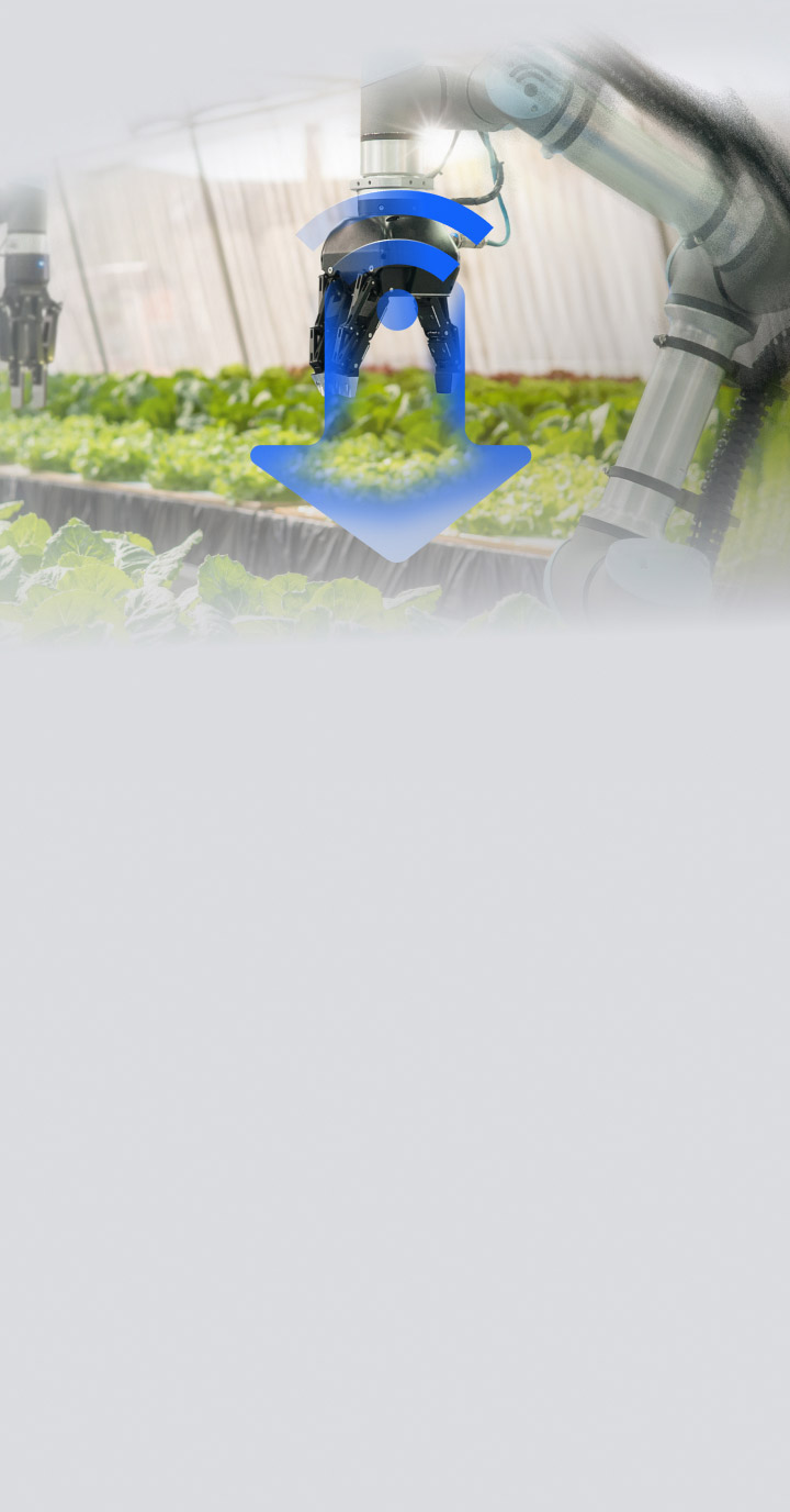 IoT solutions for agriculture — next-gen business operations